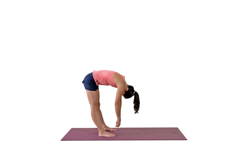 Rag doll | Hit My Macros