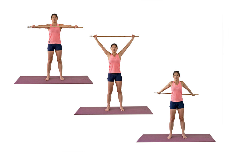 Shoulder Pole | Hit My Macros