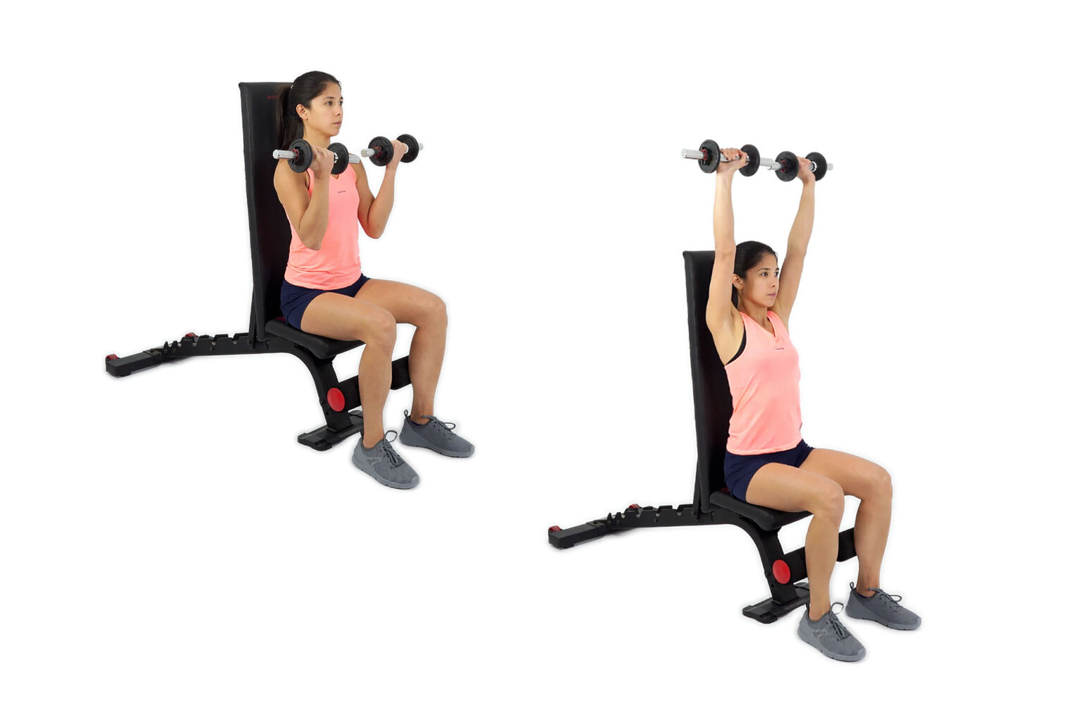 How to do Seated Arnold Presses | Muscles Worked | Benefits