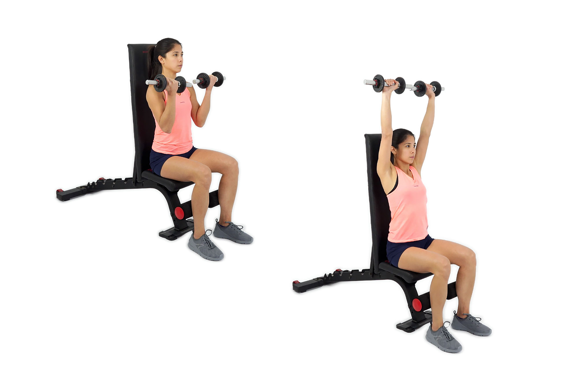 How to do Seated Arnold Presses | Muscles Worked | Benefits