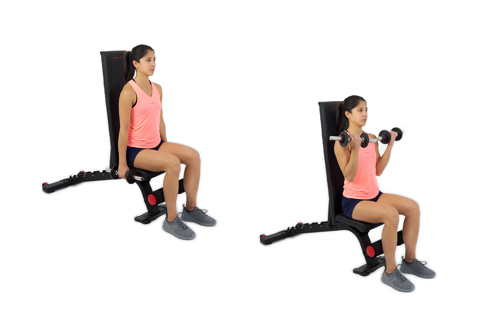 How to do Seated Dumbbell Bicep Curls | Muscles Worked | Benefits