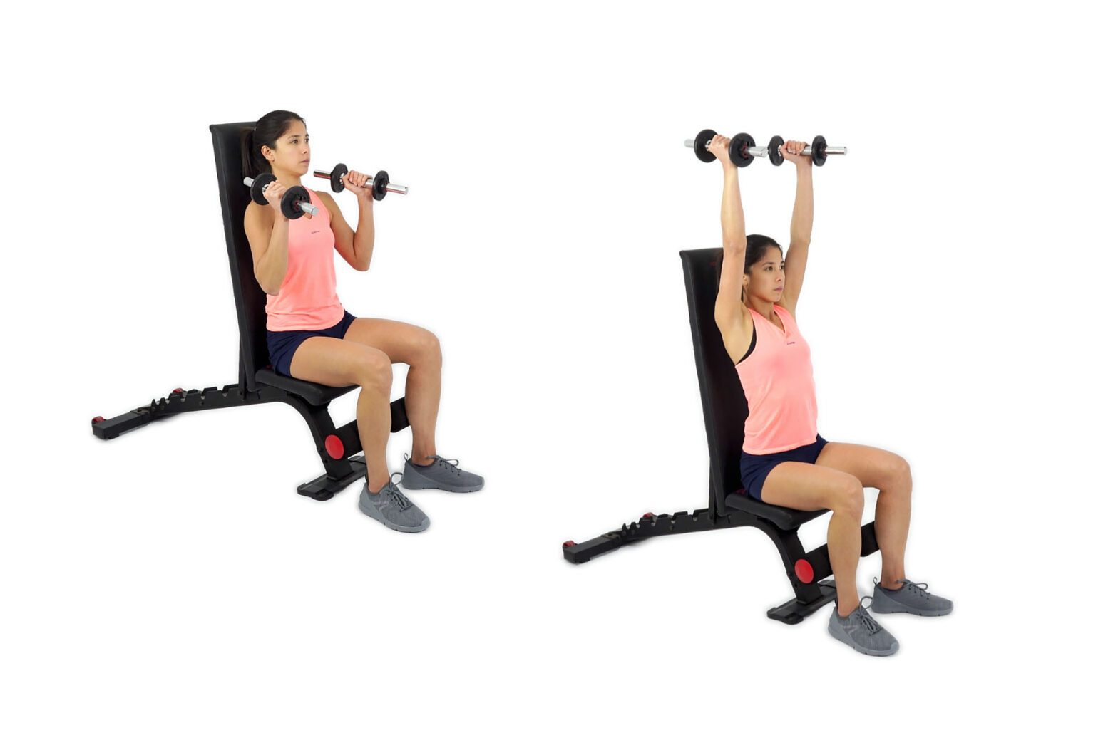 How to do Seated Hammer Presses | Muscles Worked | Benefits