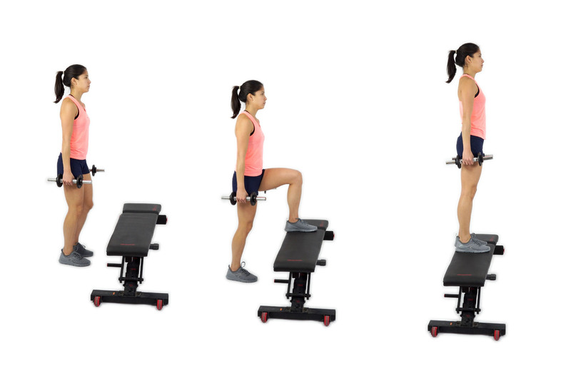 Dumbbell Step Ups | Hit My Macros